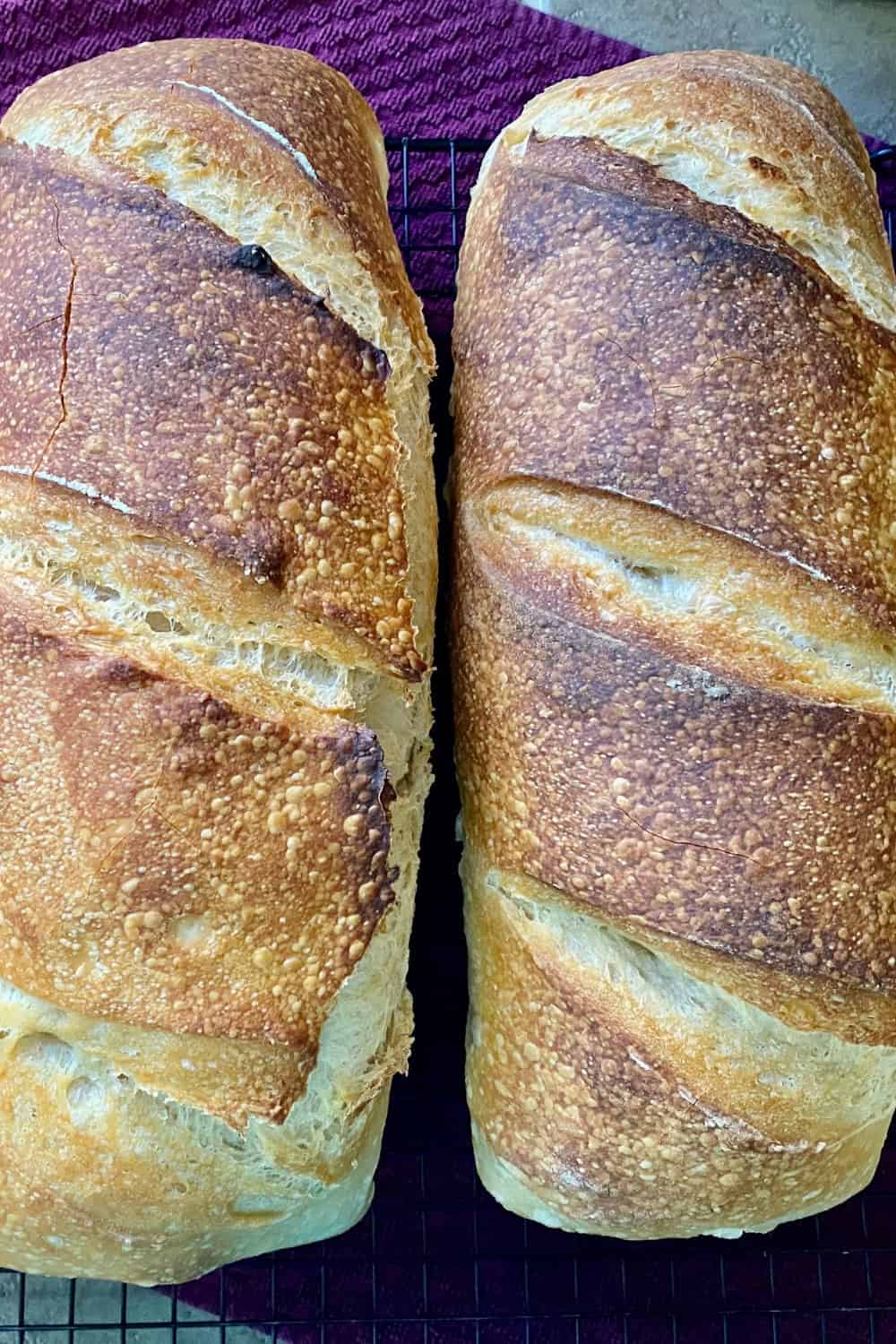 Sourdough Bread Recipe - Homemaker On A Budget